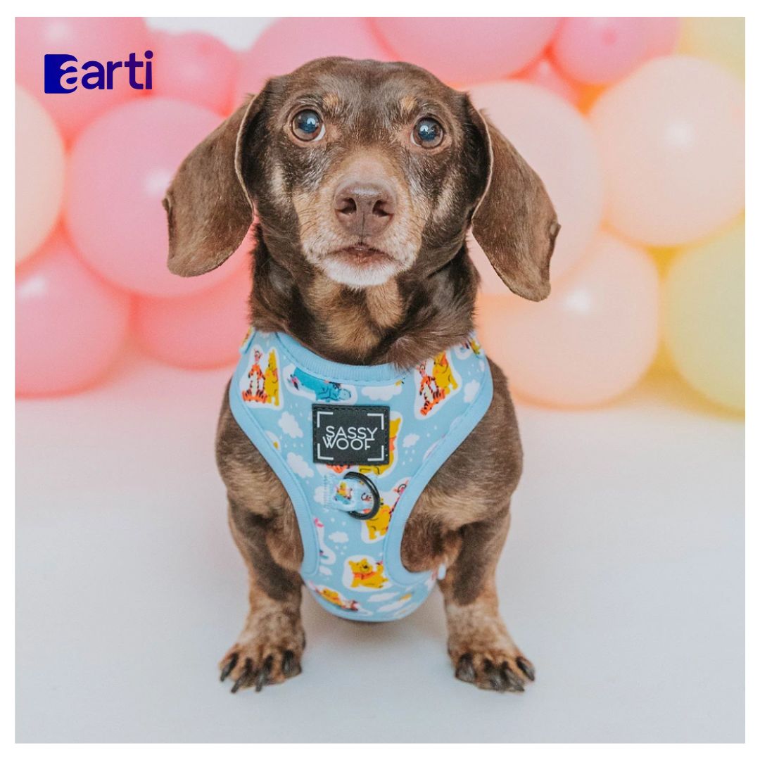 Disney Arnés Para Perros Winnie The Pooh M